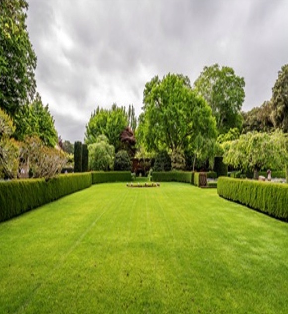 Lawn Care Services – Forever Green Lawn & Landscape